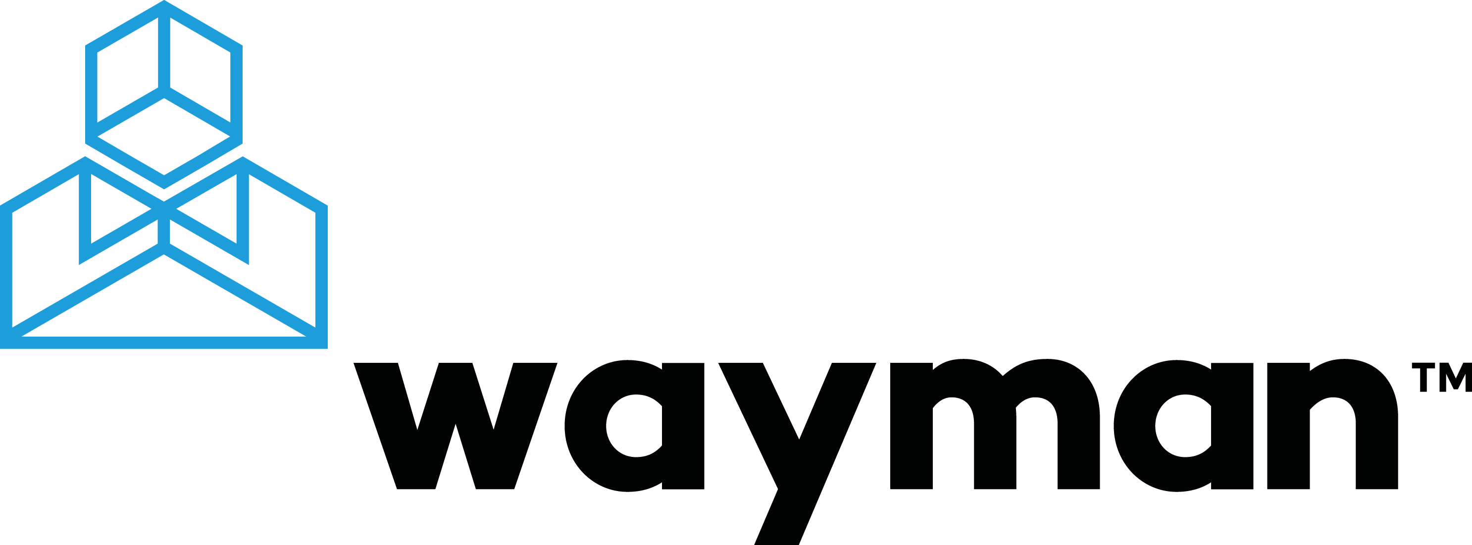 Wayman Software -Efektywne zarządzanie firmą projektową