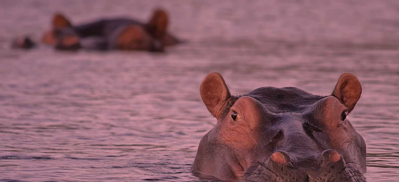 We believe that every development of Artificial Intelligence should be ...