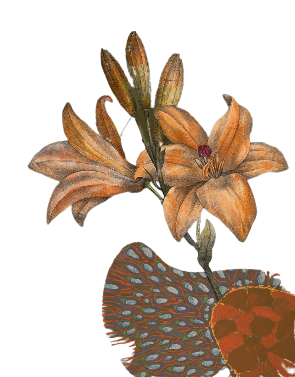 INSPIRE An Online Conference for Yoga Teachers