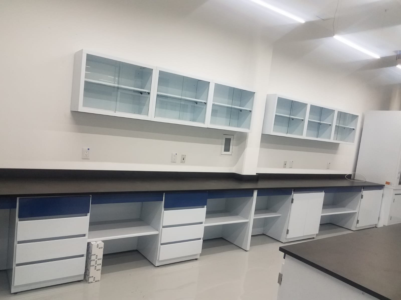 Muebles para Laboratorio en México - Fabricación y Entrega Rápida