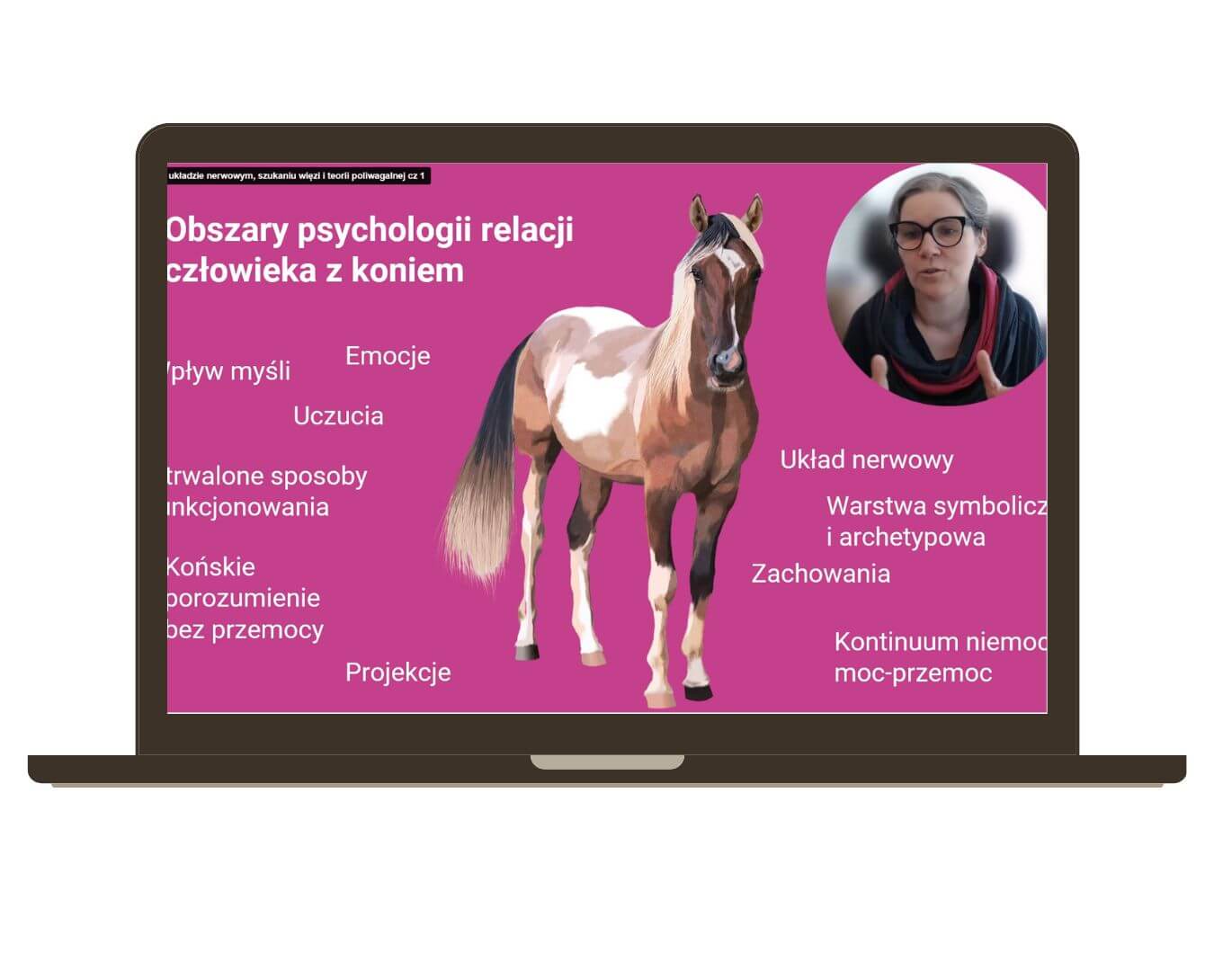 STADO kurs online o koniach i ich układzie nerwowym - dla koniarzy ...