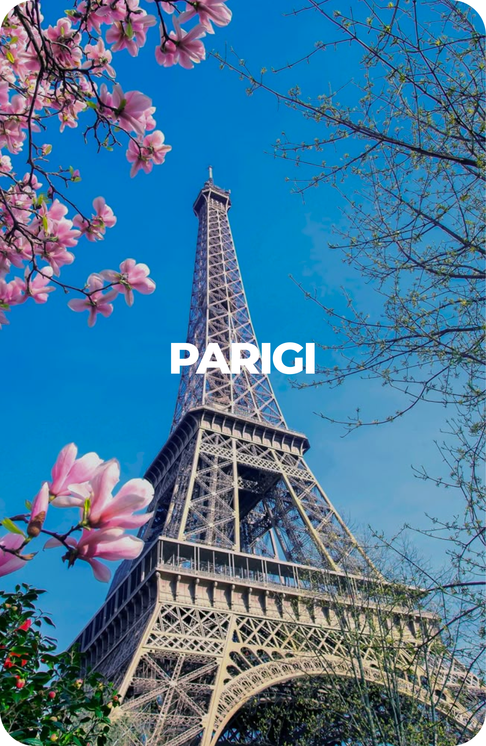 Waynabox | Vola in Europa primavera senza stress