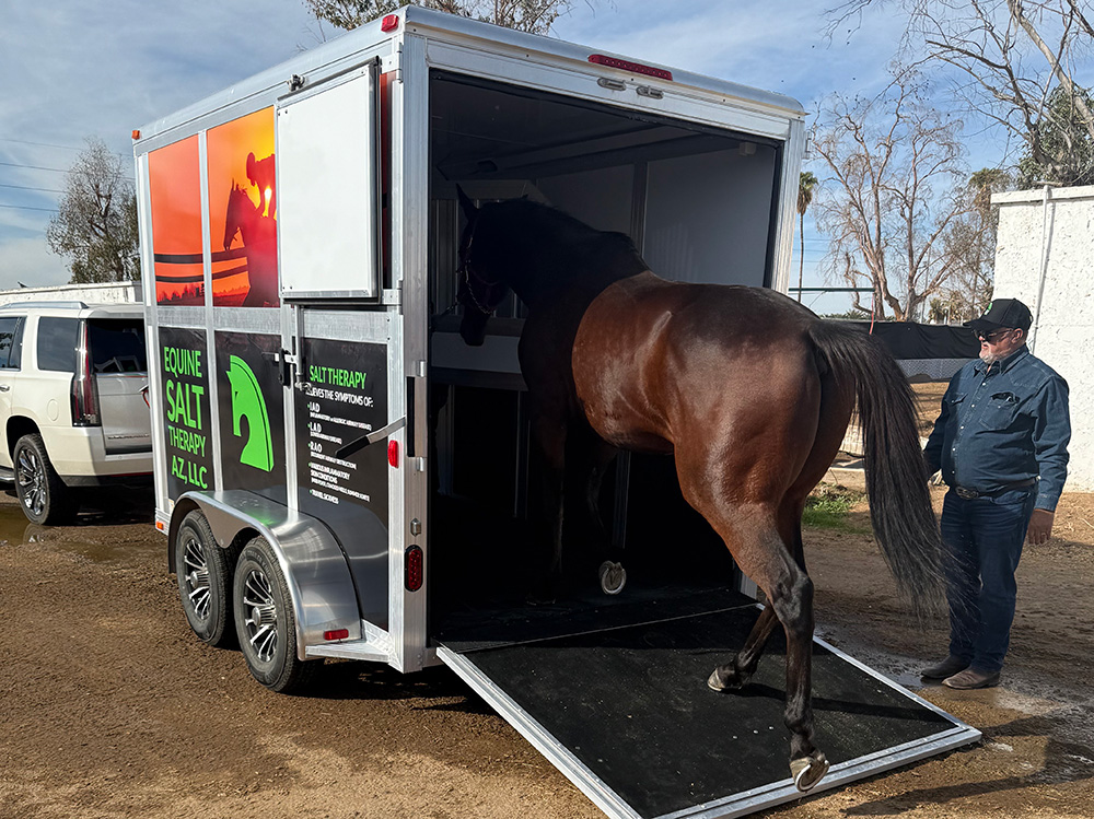 Equine Salt Therapy - Application