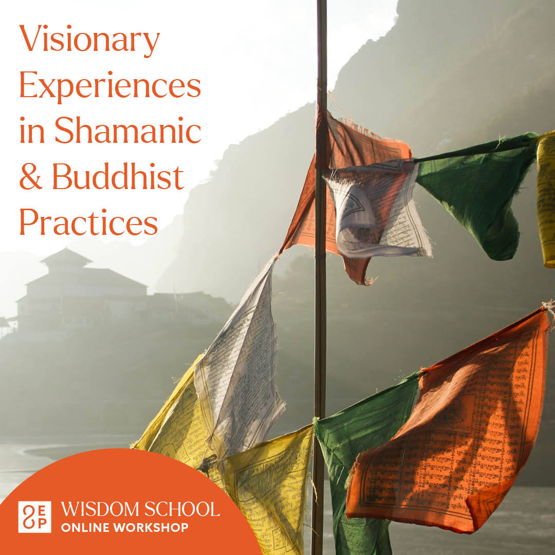 Visionary Experience