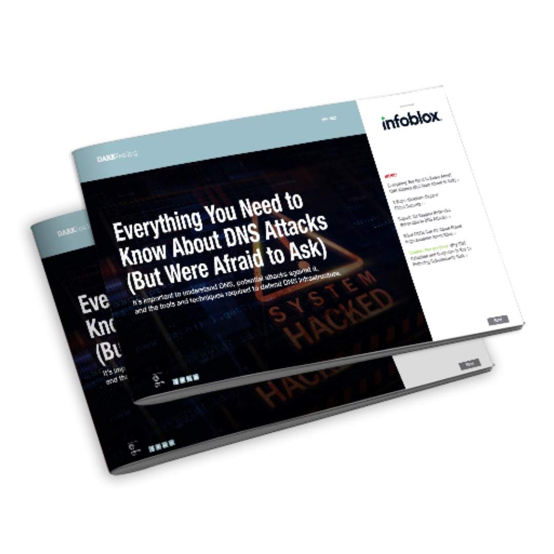Everything You Need To Know About Dns Attacks But Were Afraid To Ask