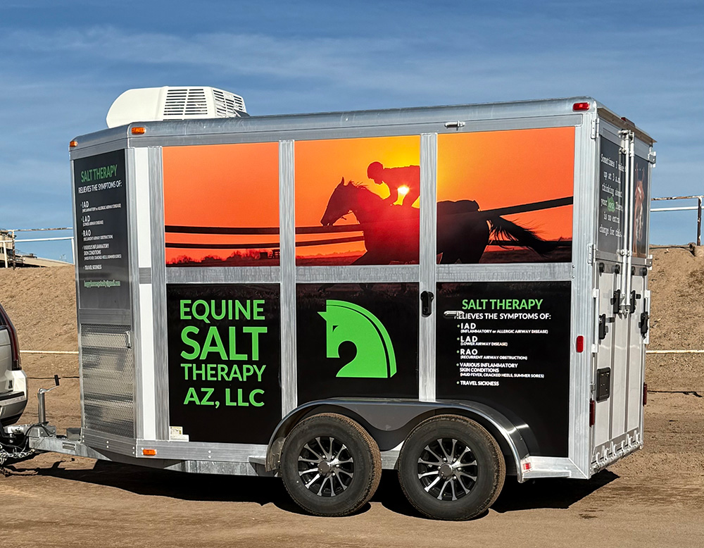 Equine Salt Therapy - Application
