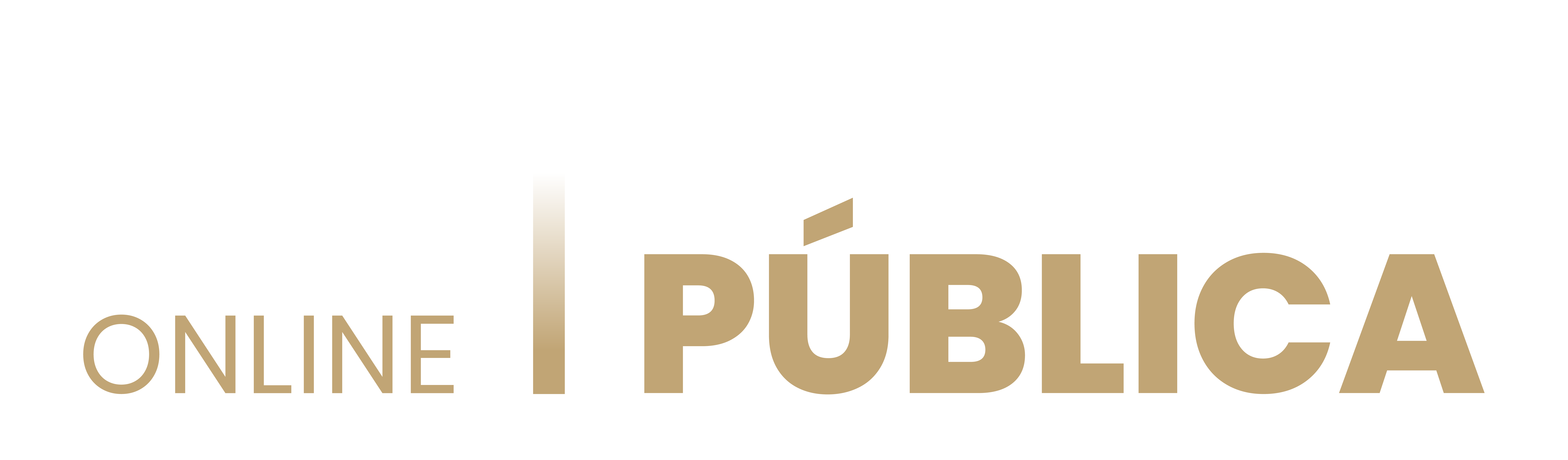 Pós NP Online - Governança Pública - Vá muito além da sua graduação!