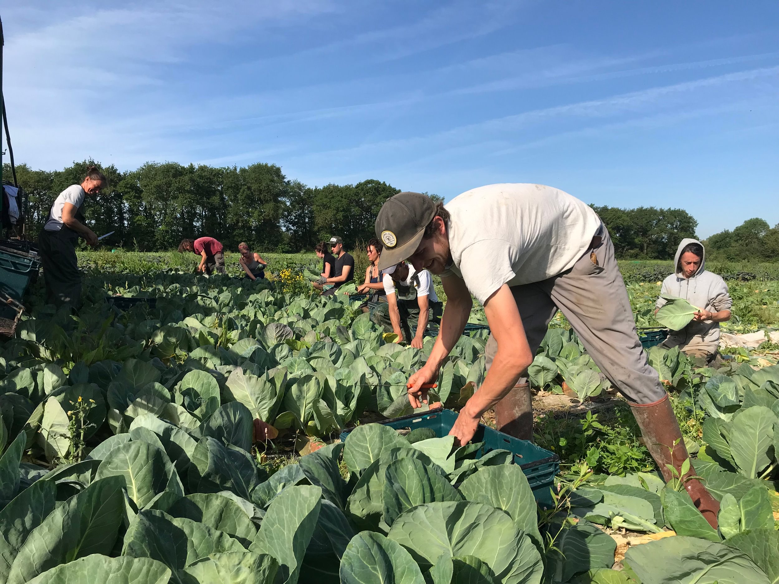History of Riverford Organic Farmers