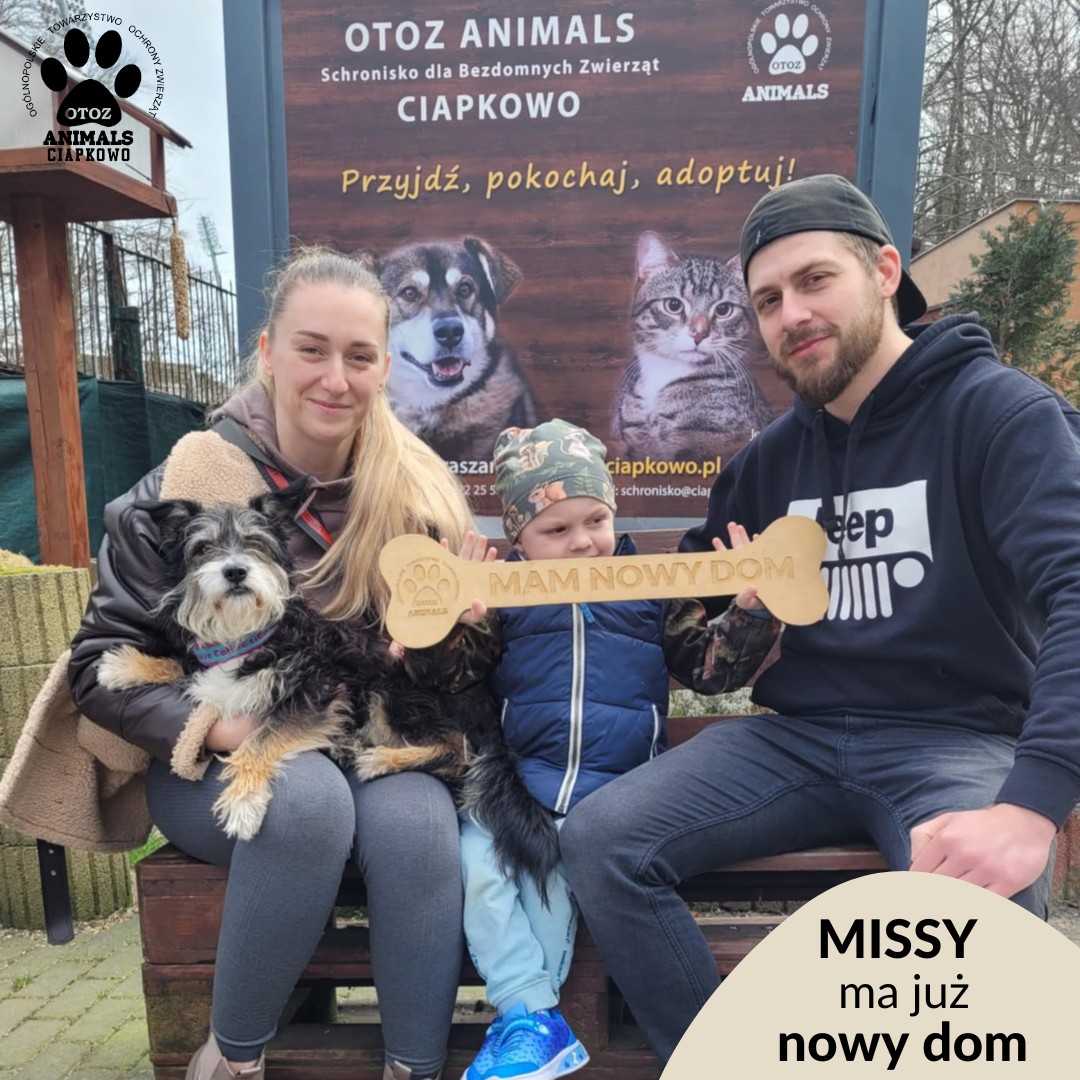 Przekaż 1,5% podatku i uratuj zwierzęta - OTOZ Animals