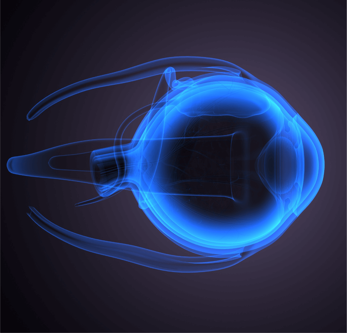 The Little Guide to Glaucoma | Eyecare Plus
