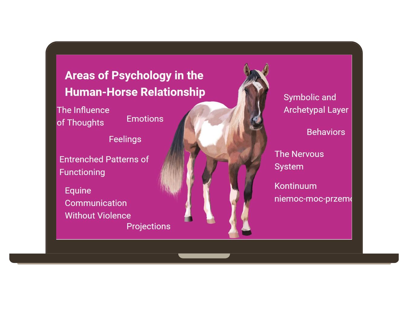 Master the Nervous System of Horses | Enhance Your Horse's Well-Being