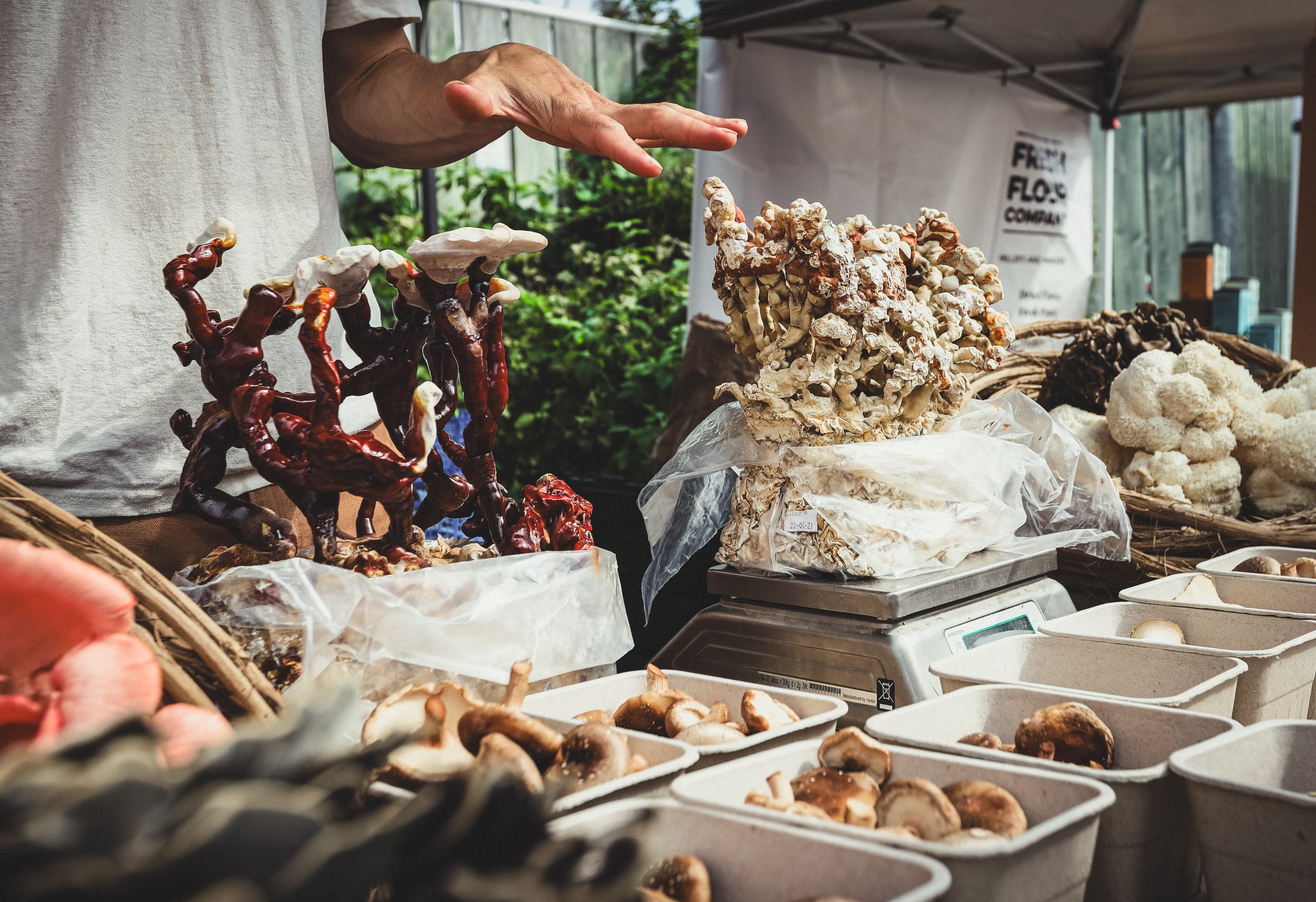 Eat Riverford Totnes Food Festival
