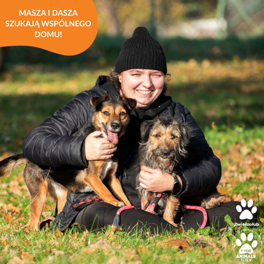 Przekaż 1,5% podatku i uratuj zwierzęta - OTOZ Animals