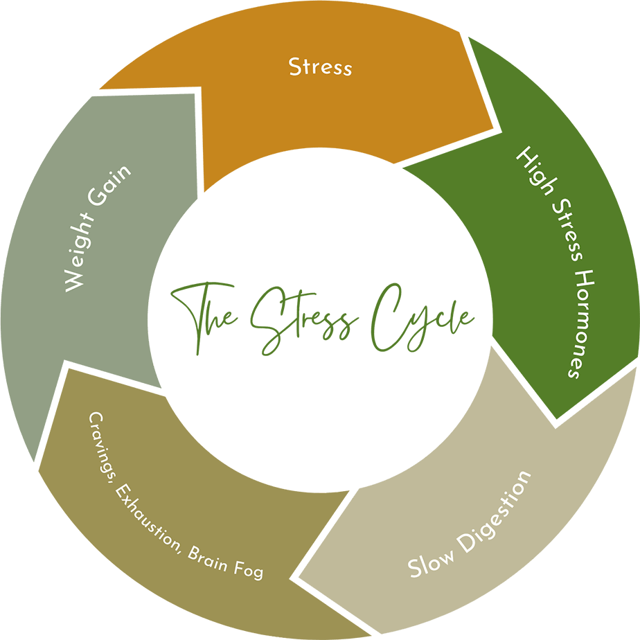 10-Day Total Body & Mind Detox