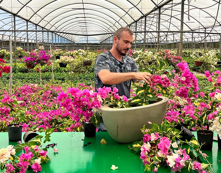 Plante com Murilo Soares | Curso presencial