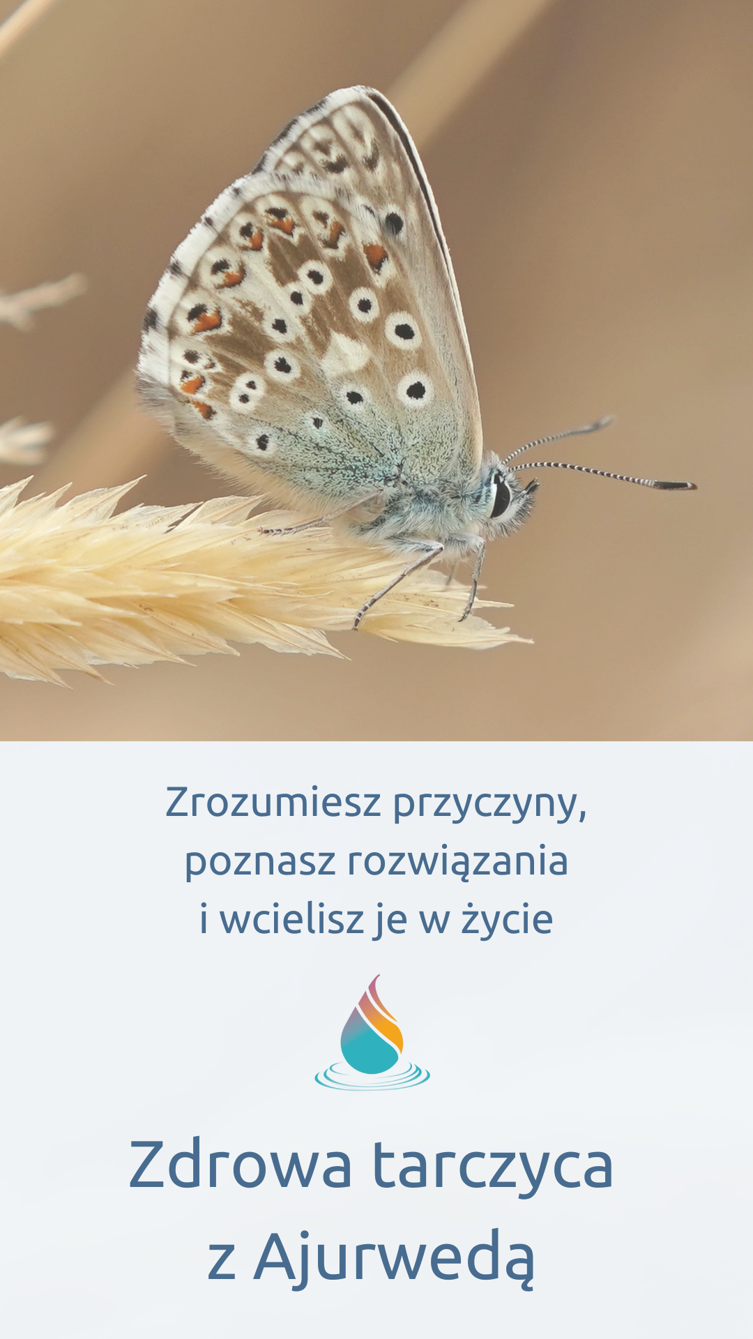Zdrowa tarczyca z Ajurwedą. VII edycja kursu w październiku 2022 r.