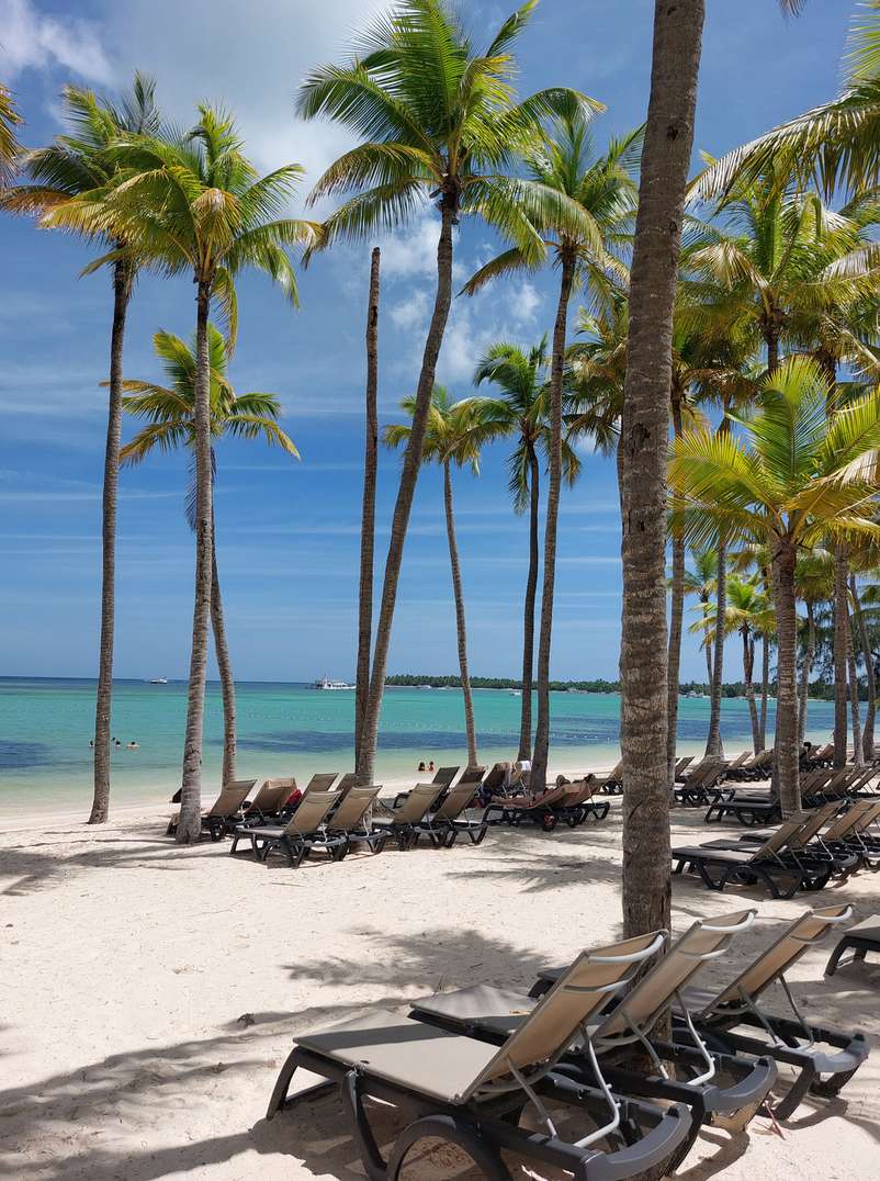 Are You Ready to Find a Recover?