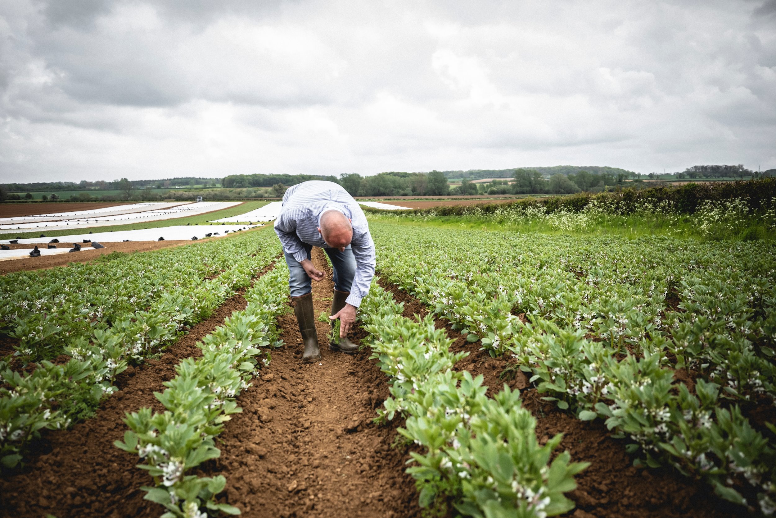 History of Riverford Organic Farmers