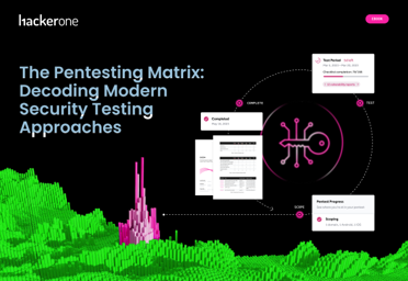 The Pentesting Matrix: Decoding Modern Security Testing Approaches