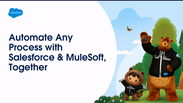 Automate Any Process with Salesforce & MuleSoft, Together