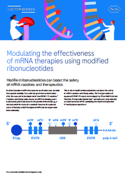 Modulating the effectiveness of mRNA therapies using modified ...