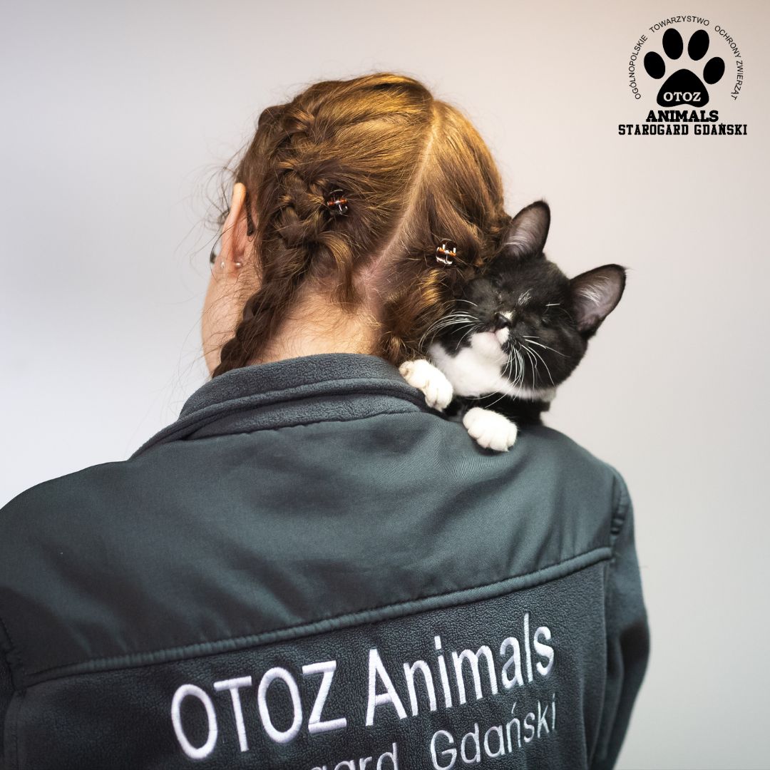 Przekaż 1,5% podatku i uratuj zwierzęta - OTOZ Animals