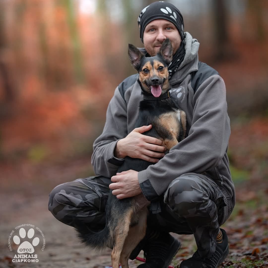 Przekaż 1,5% podatku i uratuj zwierzęta - OTOZ Animals