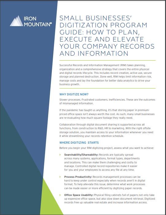 Small Businesses’ Digitization Program Guide: How to Plan, Execute and ...