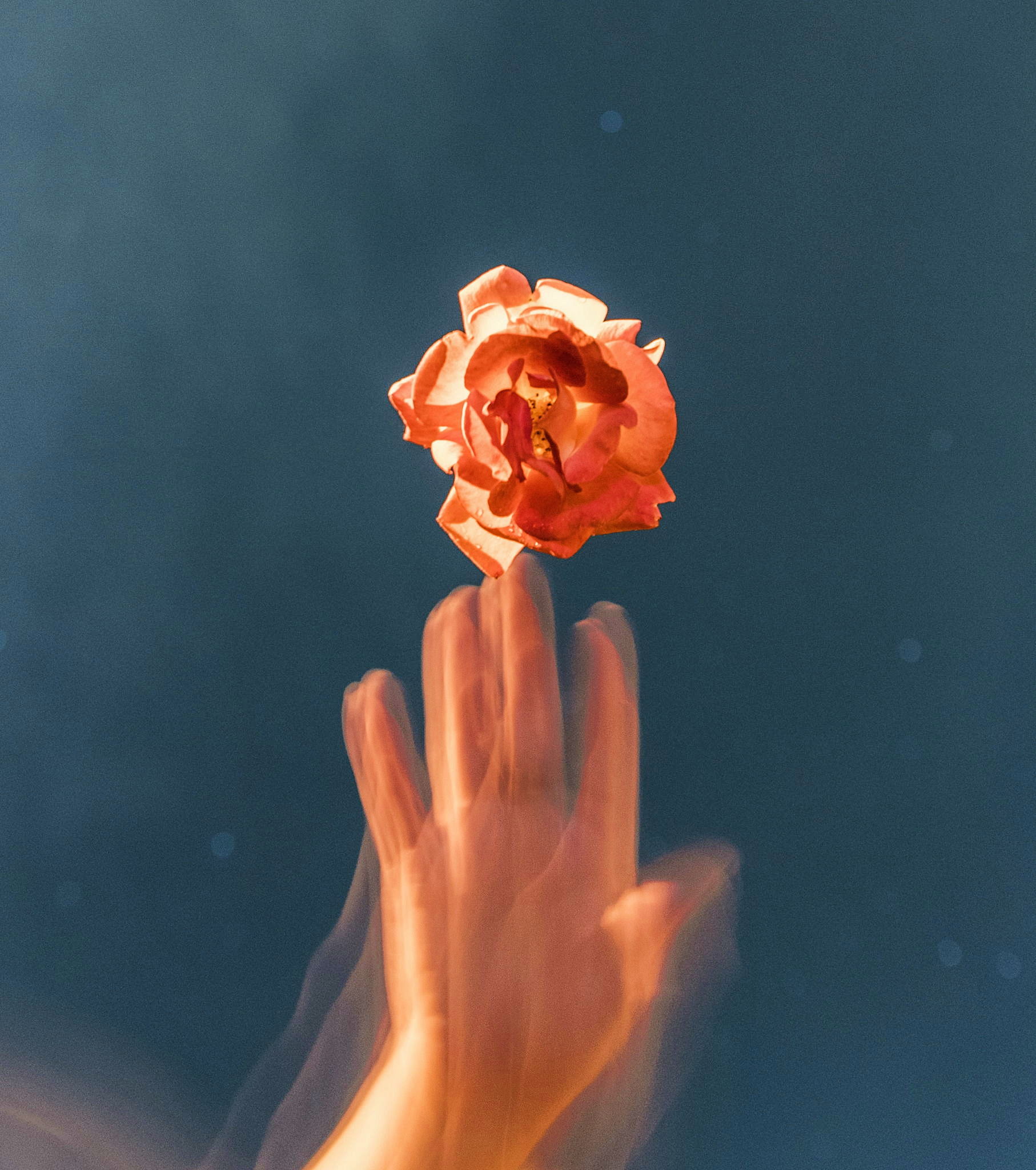 NeuroAffective Touch®: A Somatic Toolkit for Healing Emotional ...